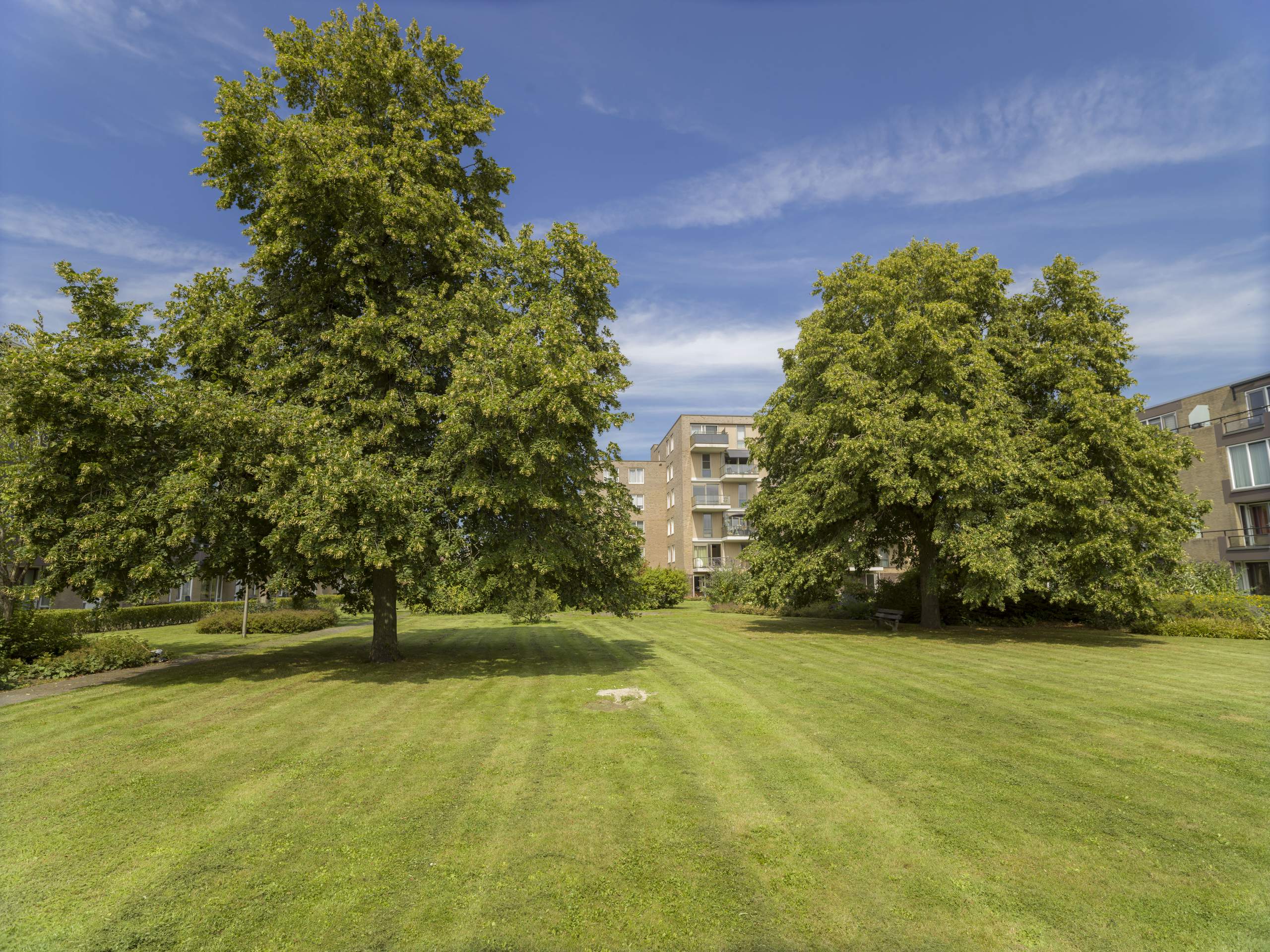 Wonen met zorg in Lelystad